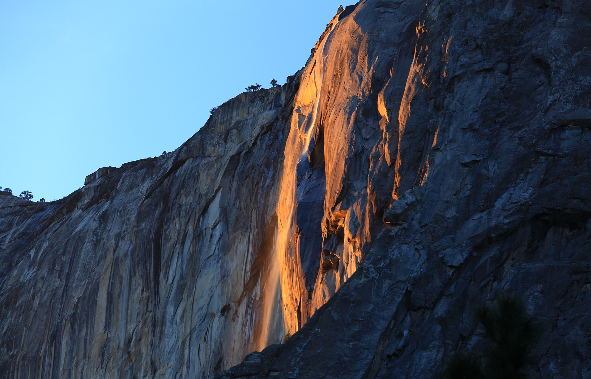 Firefall Wallpaper Laptop